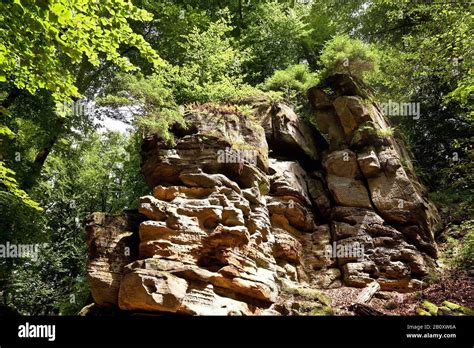 Rock Formation Of The Devils Gorge In The South Eifel Nature Park