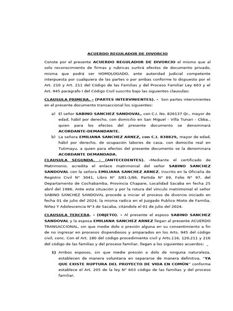 Acuerdo Regulador De Divorcio Y Bienes Pdf Divorcio Instituciones