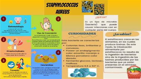 Estafilococos Pdf