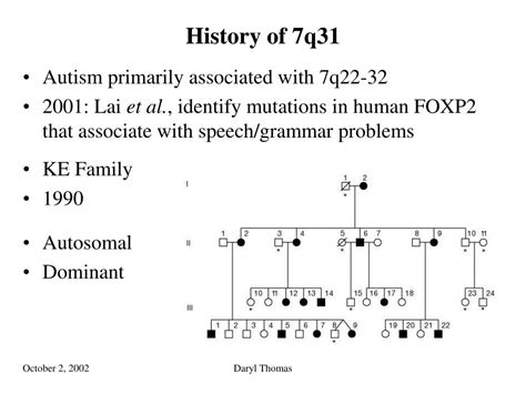 Ppt Molecular Evolution Of Foxp2 Powerpoint Presentation Free Download Id 1834975