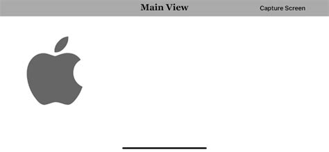 Programmers Sample Guide Ios Swift Capture Screenshot With Or Without Navigation Bar Example