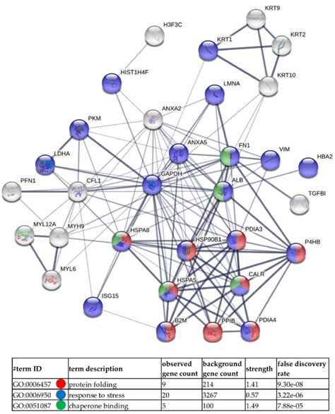 Diagram Of Functional Protein Association Networks Prepared With The