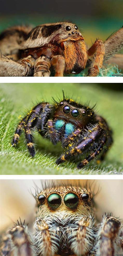 Красивые милые Пикабу