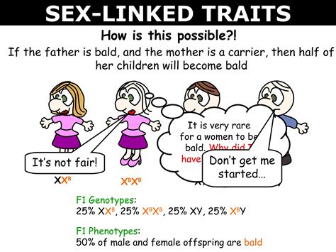 05 Sex Linked Inheritance Ppt Genetics Science