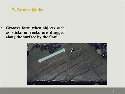 Sedimentary Structure Is The Feature In Sedimentary Rock To Distinguishe Body Op Sedimentary
