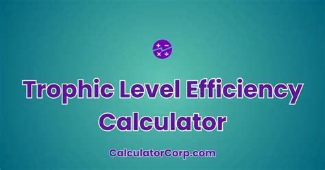 Trophic Level Efficiency Calculator Energy Transfer In Food Chains