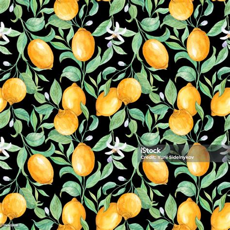 수채화 레몬 원활한 패턴입니다 나뭇가지 단풍 꽃에 잘 익은 감귤류가 검은 배경에 있다 직물 벽지 포장 메뉴에 대한 열대 여름