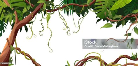 리아나 또는 열대 잎 배경과 포도 나무 구불 구불 한 가지 정글 열대 등반 식물 나뭇가지에 대한 스톡 벡터 아트 및 기타 이미지