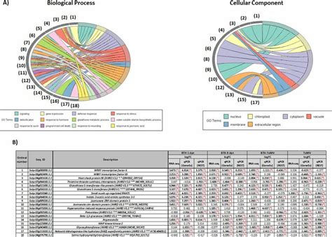 A The Assignment Of Validated Genes To Biological Process And Cellular