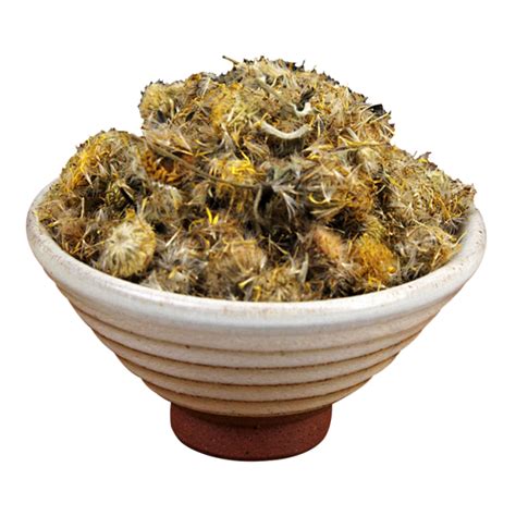 旋覆花2