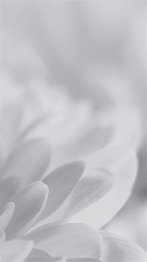 Красивый фон для текста Инстаграм сторис