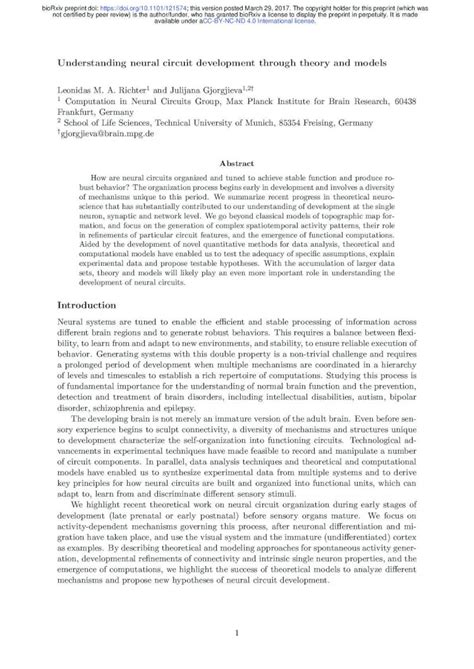 Pdf Understanding Neural Circuit Development Through Theory Understanding Neural Circuit