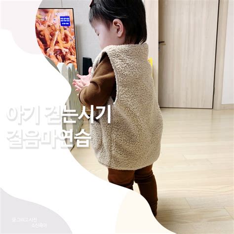 아기 걷는 시기 걸음마 보조기 신발 연습 했던방법들 네이버 블로그