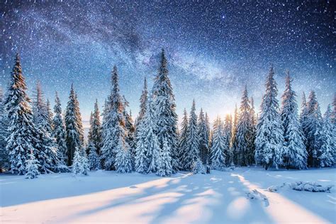 200 Snow Aesthetic Pictures