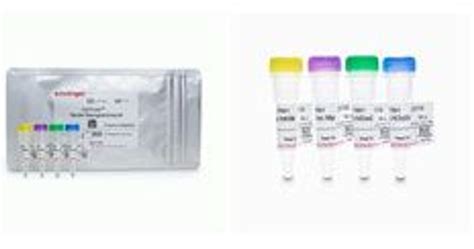 Life Technologies Launches Highly Efficient Stem Cell Reprogramming Technology