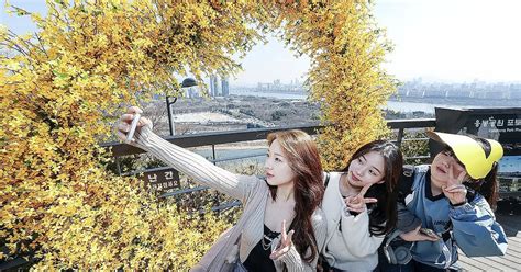 포토타임 노란 빛으로 성큼 다가온 봄 응봉산 개나리축제 개막