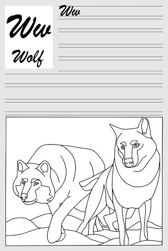 늑대입니다 영어 알파벳 개요 쓰기 및 페인트 색칠 카드 일러스트 레이 션 및 텍스트의 설정 늑대에 대한 스톡 벡터 아트 및 기타 이미지 Istock