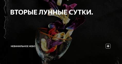 ВТОРЫЕ ЛУННЫЕ СУТКИ. | Неванильное Небо | Дзен