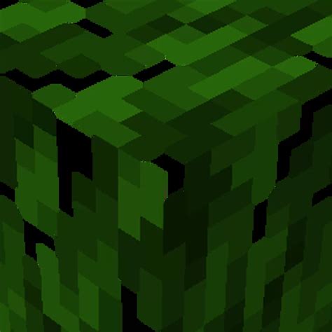Better Dark Oak Leaves Java Minecraft Texture Pack