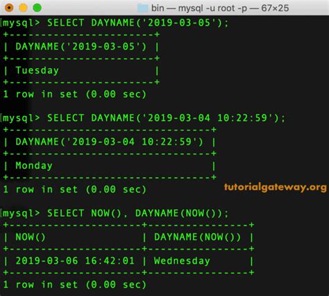 Mysql Dayname Function