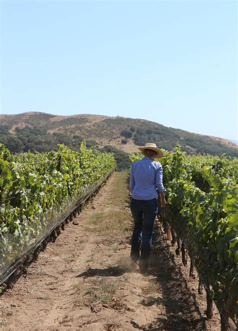 Contact — Coastal Vineyard Care