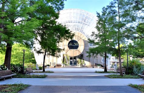 Plantas Monocotiledóneas Ejemplos Y Características Clave