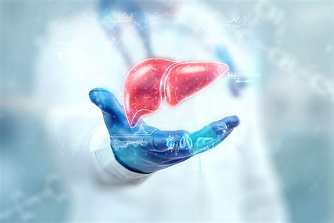 Understanding How Insulinotropic Polypeptide Supplements Operate In The Body Health Benefits