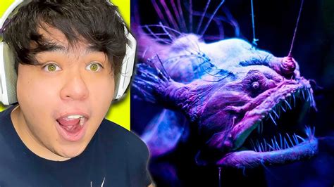 25 Cosas Que No Sabias Hace 5 Minutos ⏰ ReacciÓn Youtube