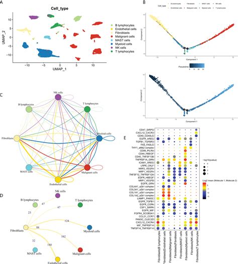 The Single Cell Profile Of Cafs A Eight Cell Clusters Identified By