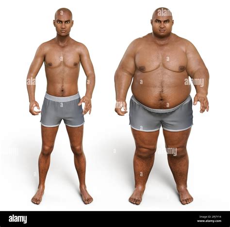 People Gaining Fat Success On The Fast Metabolism Diet “it Was A