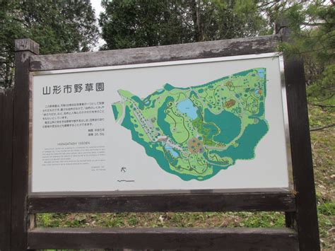 山形市野草園