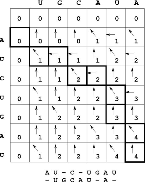 Figure 11 From Rna Structural Alignment By Means Of Lagrangian