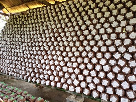 ศูนย์กสิกรรมธรรมชาติกาสินธุ์ ศูนย์กสิกรรมธรรมชาติกาสินธุ์