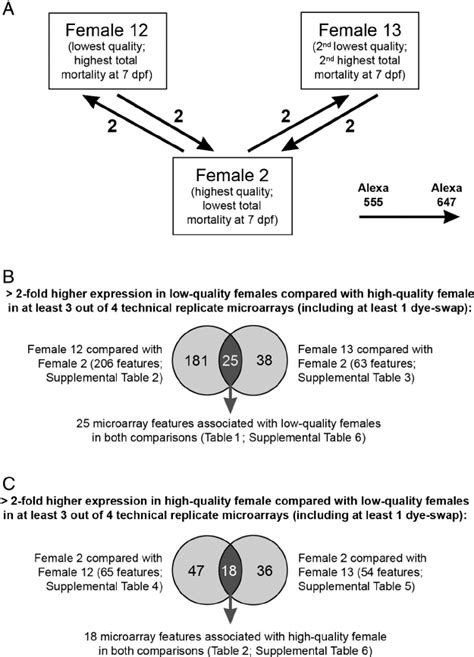 overview of 20 k microarray experimental design and results a arrows