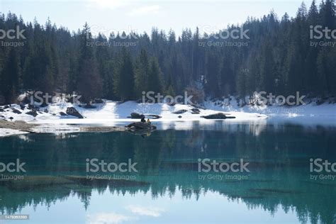 호숫가의 바위 꼭대기에 있는 사람들은 눈 덮인 숲 배경으로 호수를 바라보고 있습니다 0명에 대한 스톡 사진 및 기타 이미지 0명 겨울 경관 Istock