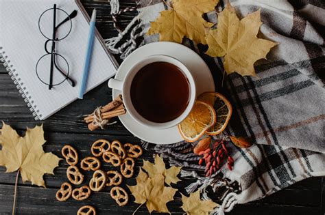 체크 무늬 따뜻한 스카프 뜨거운 한잔의 차와 낙된 엽이 평평 하다 상위 뷰 정 대표가 개념 복사본에 대 한 공간을 가진 백색 배경에 0명에 대한 스톡 사진 및 기타 이미지