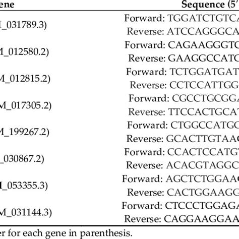 Primer Sequence For Real Time Quantitative Pcr Download Scientific