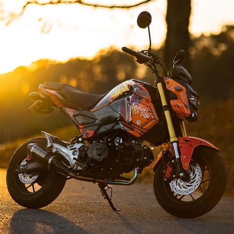 Primal Honda Grom Bike Wrap R Primalshow