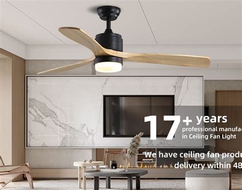 Led Light Ceiling Fan Factory