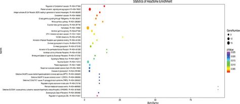 Differential Gene Signal Pathway Enrichment Analysis Diagram A Kegg