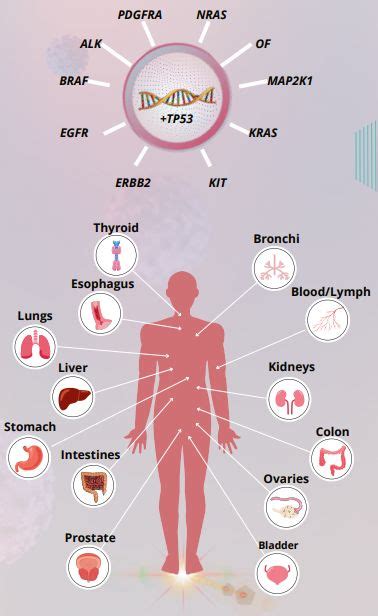 Clinisciences Group On Linkedin Ngs Oncology Diagnostic