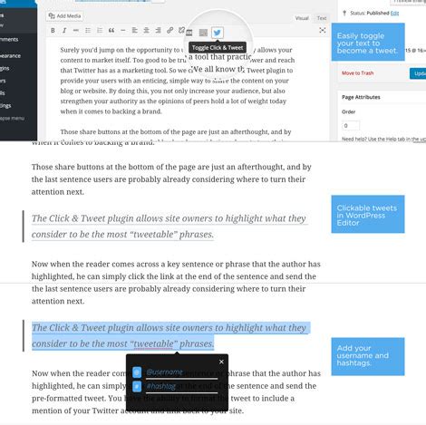 AdSense Invalid Click Protectors For WordPress WP Solver