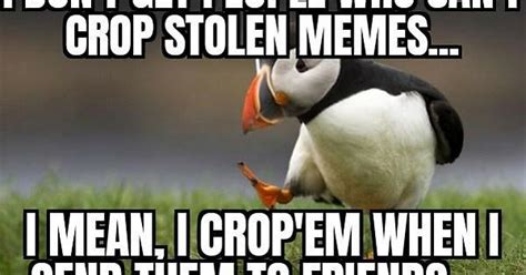 Really Album On Imgur