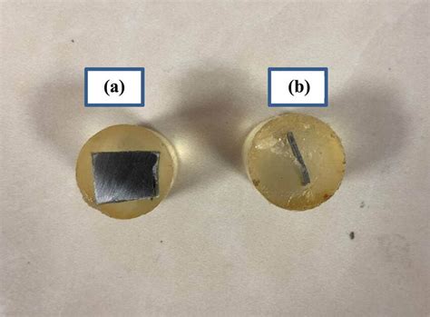 Microstructure Specimen A Top Surface And B Cross Section Download Scientific Diagram