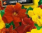 Сорта настурции — список по алфавиту