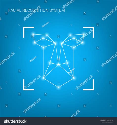 Face Recognition Concept Concept Recognition Diagram Stock Vector Royalty Free 1263334192