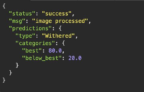 Image And Returns Response As Json Download Scientific Diagram