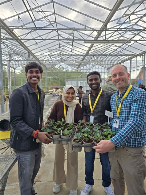 sai venkata teja on linkedin started my first practical with planting of strawberry runners
