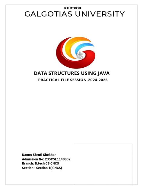 new dsa file 2 pdf pdf queue abstract data type computer programming