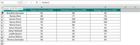 Autofit Row Height In Excel Top Methods Examples How To Do